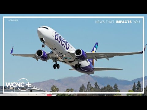 Avelo hiring flight crews for deportation flights