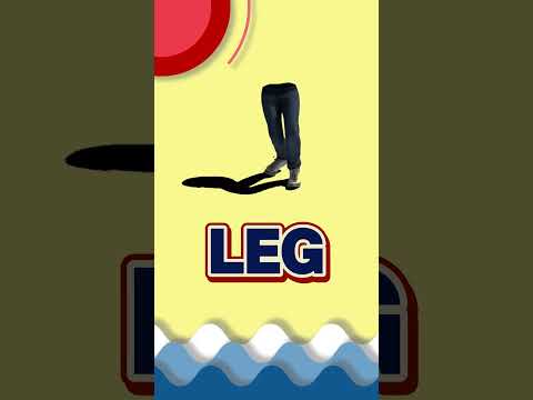 Fun with 3-Letter Words: Learning from K to O!