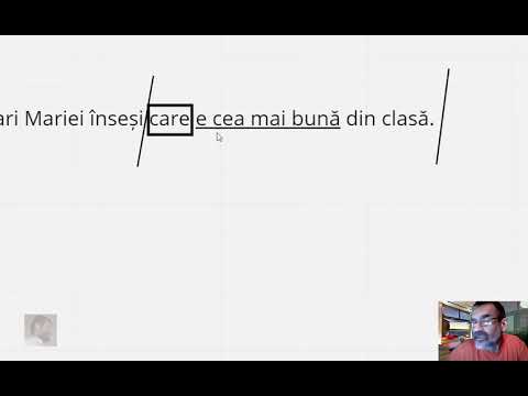 Pronumele - test pentru clasa a VII-a (5)