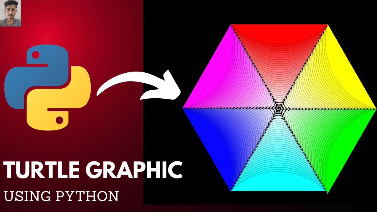 python turtle || create a amazing graphics (Advance)