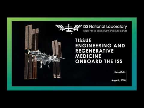 2020 Tissue Engineering and Regenerative Medicine Workshop: Stem Cells