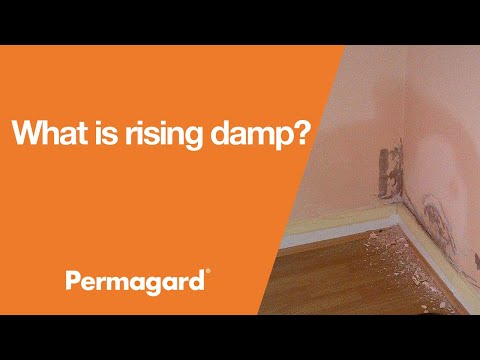 What is rising damp?