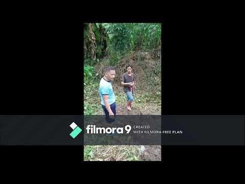 REVITALIZED PULIS SA BARANGAY (R-PSB)