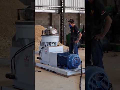 #pelet Peletizadora 75cv mato grosso set up inicial #peletizadora #sawdust