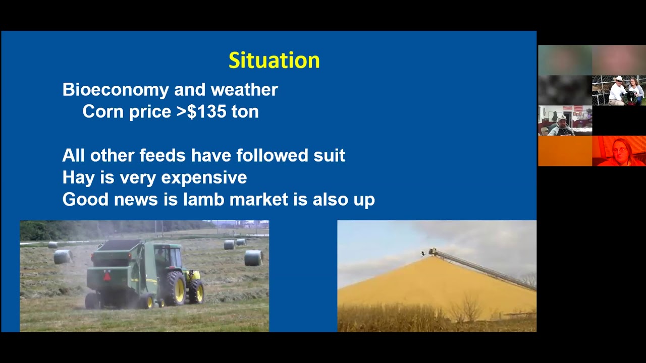 Small Ruminant Webinar Series