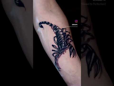 My latest scorpion tattoo reveal! 🦂