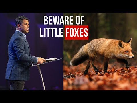 Beware of the Little Foxes 🦊 Lurking in Your Vineyard! 🦊