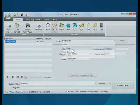 How to convert MP3 to WAV using AVS Audio Converter?