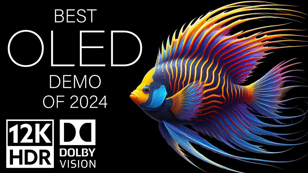 BEST OLED DEMO OF 2024 - DOLBY VISION 12K HDR 120fps