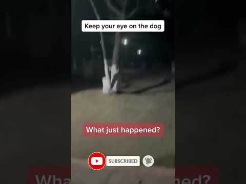 The scariest video ???????????? #shorts #scary #tiktok