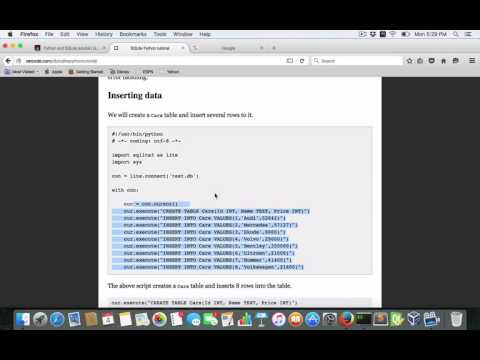 Demo of fetch and insert in Python with SQLite