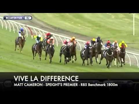 VIVE LA DIFFERENCE - SPEIGHT'S PREMIER Rating 85 Benchmark 1800m