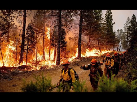 Los Angeles wildfires' destruction shown in Google MAPS