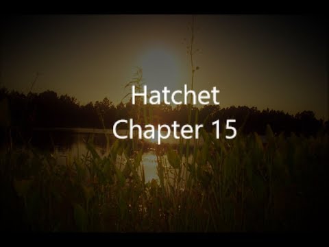Hatchet Chapter 15
