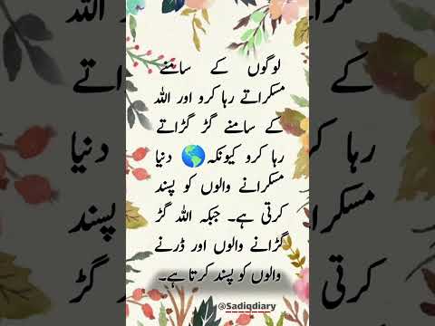 The Wisdom of Urdu: Quotes That Resonate