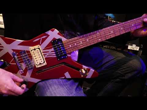 EVH Ibanez Destroyer Striped series shark model custom | Reverb
