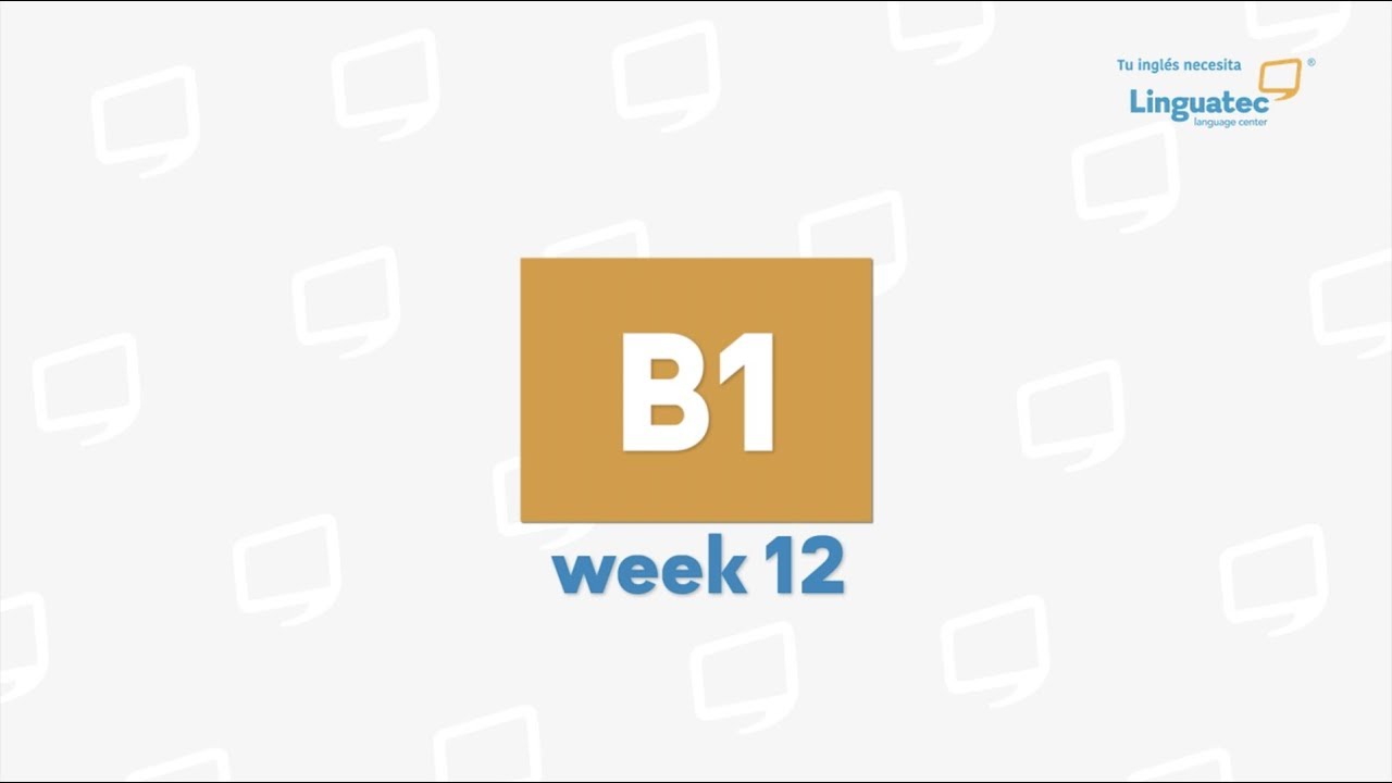 WEEK 12 - B1 Points of view