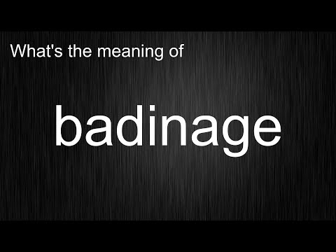What's the meaning of "badinage", How to pronounce badinage?