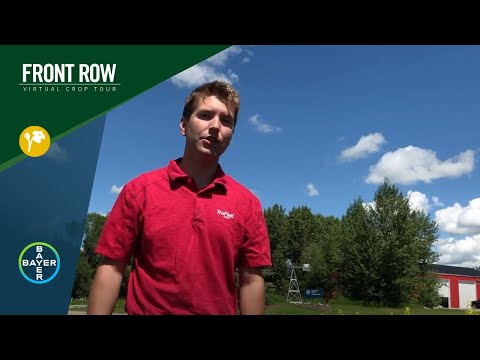 The Front Row: The Benefits of TruFlex® canola with Roundup Ready® and LibertyLink® Technologies