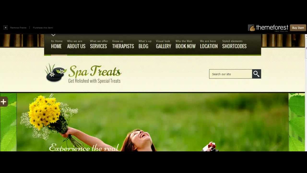 Spa WordPress Theme Preview