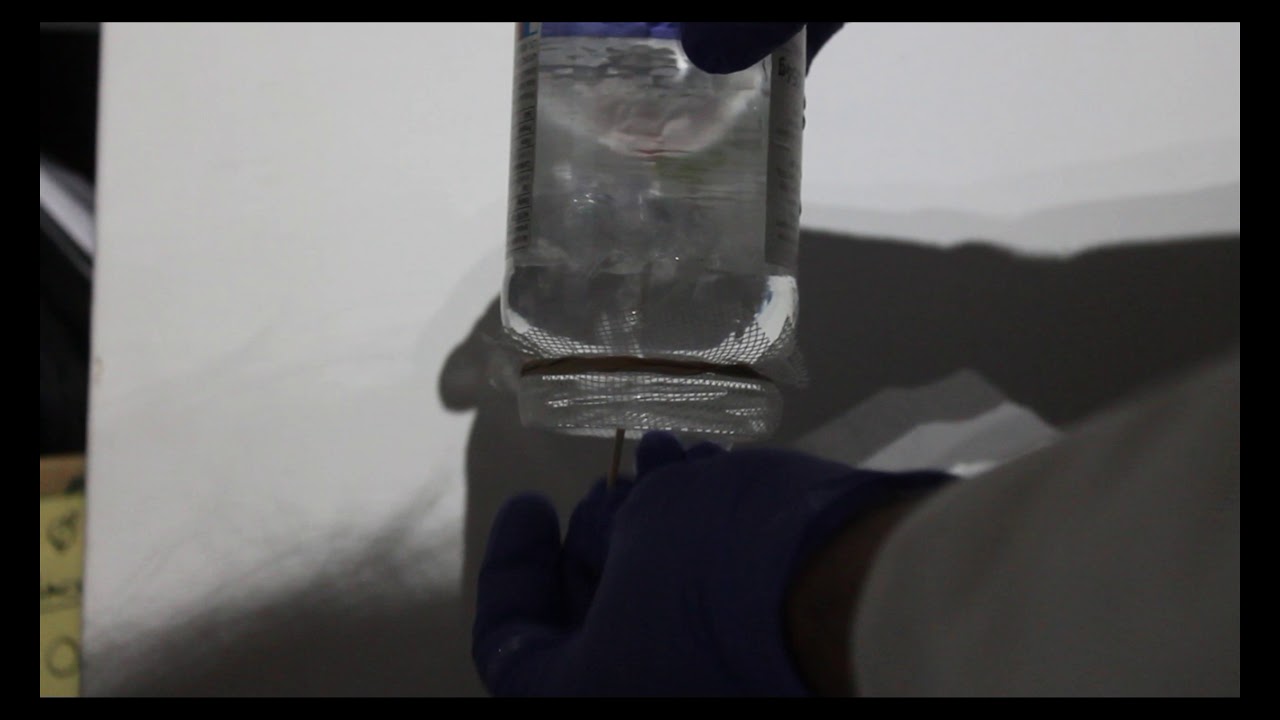 How a semi-permeable membrane works (1. Extremophiles, Mars Collection of Educational Resources)