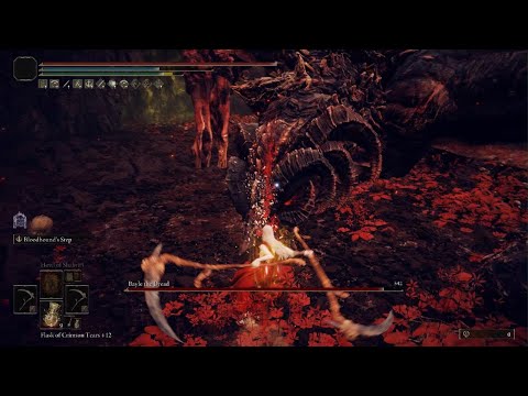 ELDEN RING BAYLE THE DREAD MAX NG NO SHADOW REALM BLESSING