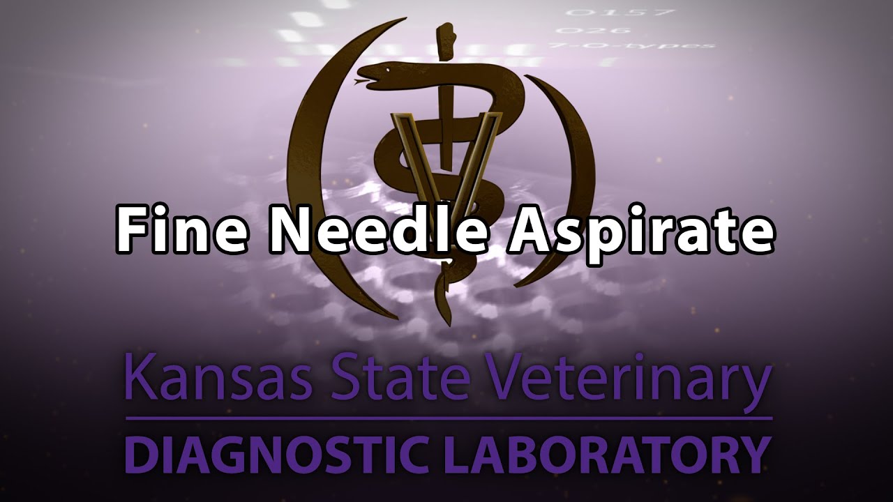 Fine Needle Aspirate