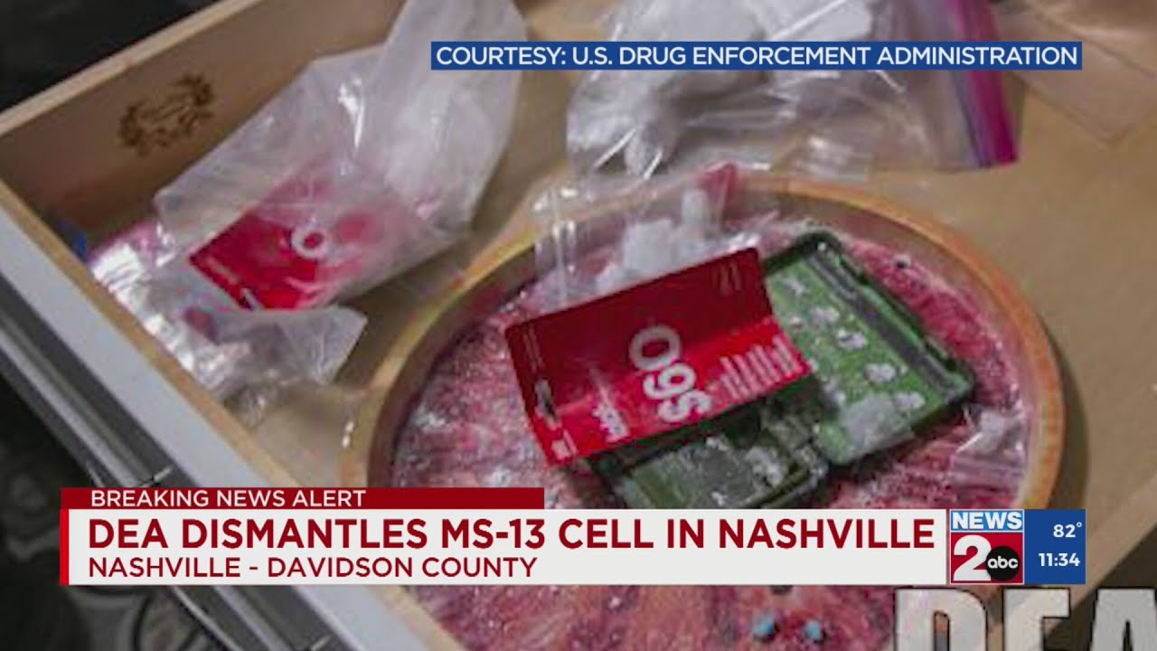 MS-13 members arrested after raids across Nashville
