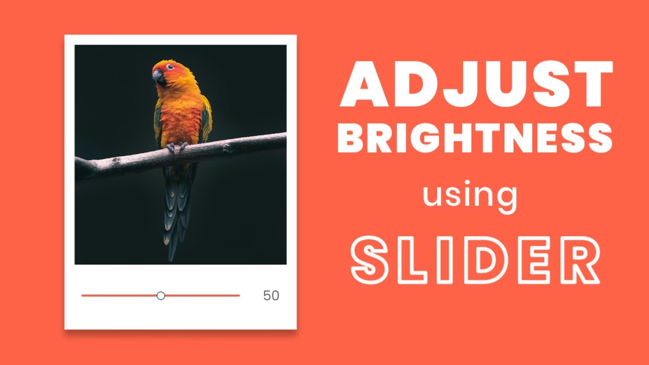 Adjust Image Brightness using Slider in HTML CSS And JS | Javascript Brightness Controller