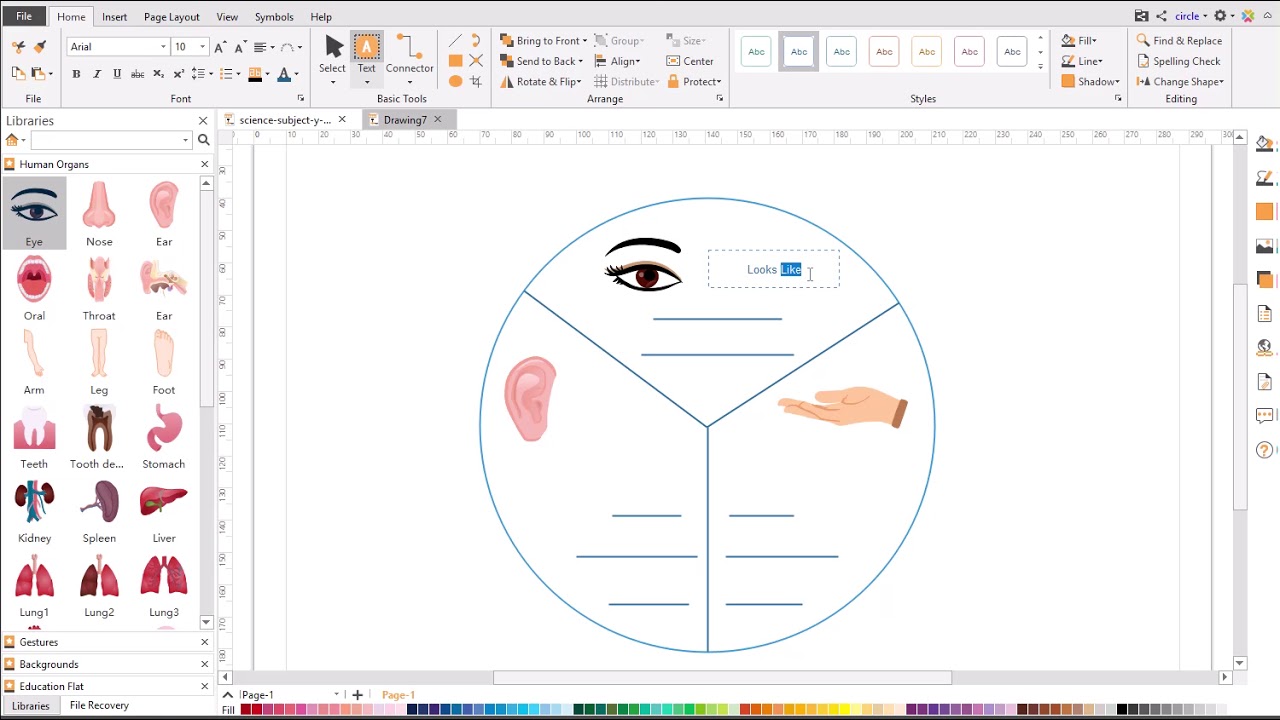 Graphic Organizer Drawing Guide - Y Chart| EdrawMax
