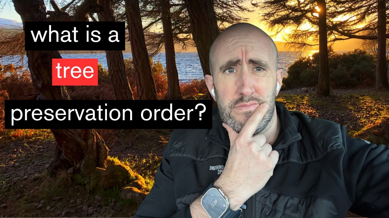 Demystifying TPO’s - What Is A Tree Preservation Order.