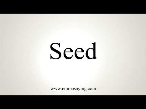 How To Pronounce Seed