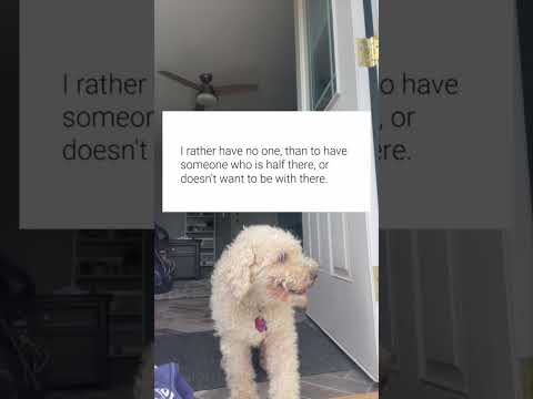 This hits hard #dogmemesdaily #quotes #loev #funny #memes #funny #love