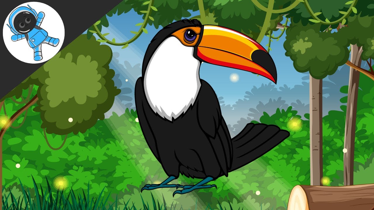 Toucan Treasures: Exploring the Colorful World of Tropical Birds for Kids