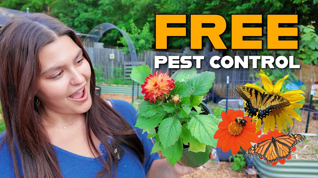 How to Build a Pollinator Garden That Actually Works