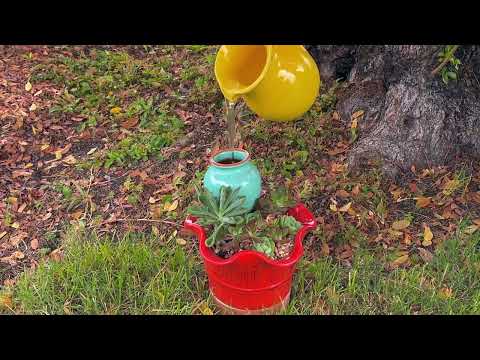 My Italian Decor - Olla Ceramic Plant Waterer - Made In Italy