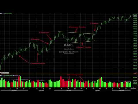 How The Pro's Trade Flags & Pennants Chart Pattern Analysis