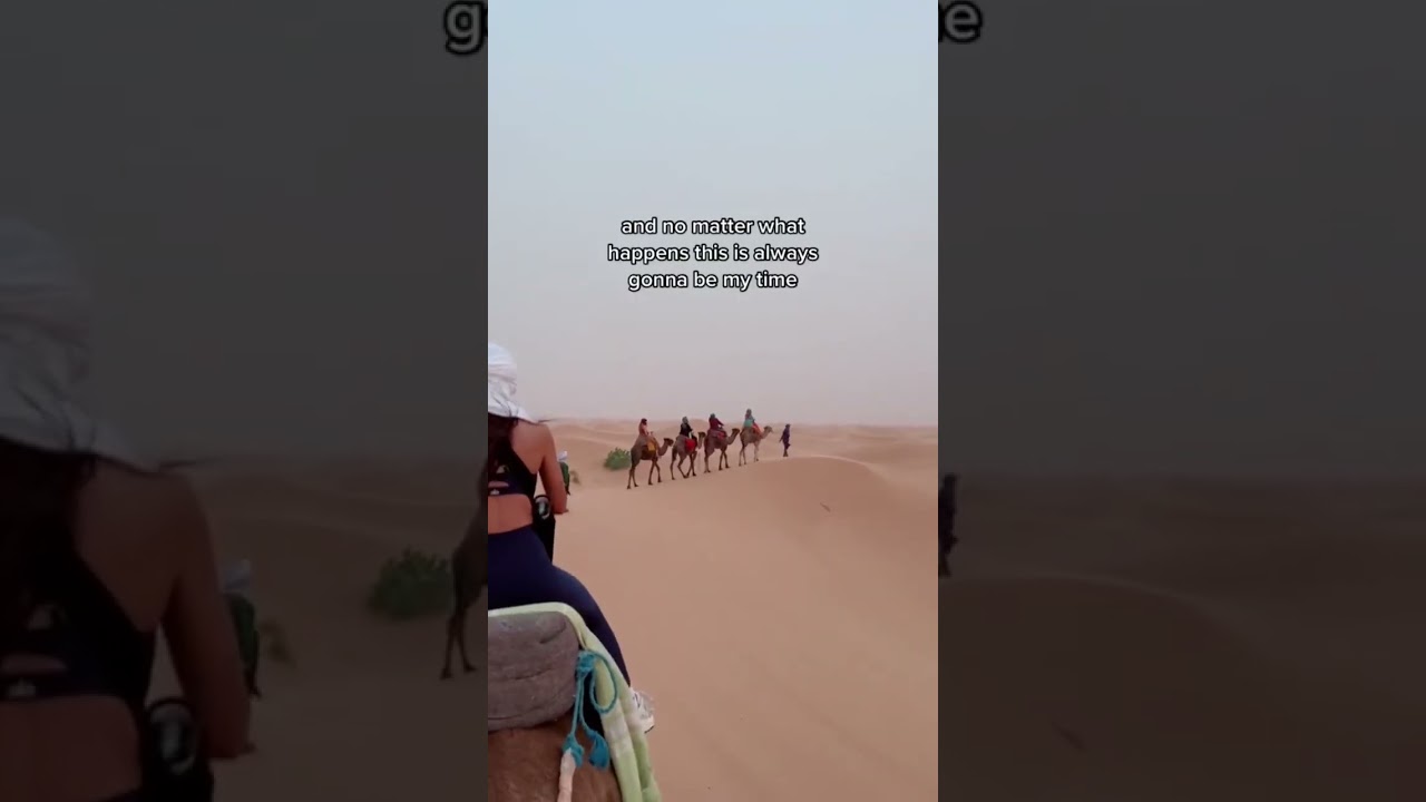 Untitled video