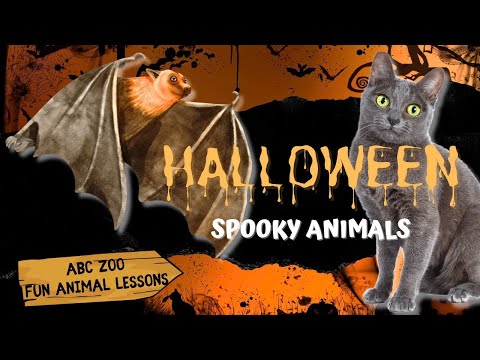 ABC ZOO Spooky Animals Extravaganza: Fun Halloween Animal Facts for Kids ð