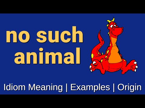 No Such Animal Meaning | English Idioms