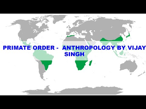 Primate Order - Anthropology By Vijay Singh