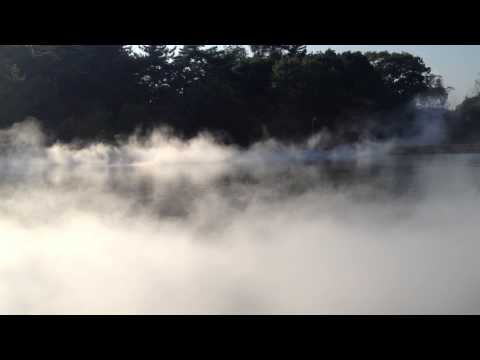 Mysterious And Magical: Fog Sculptures Are Rolling Through The Emerald ...