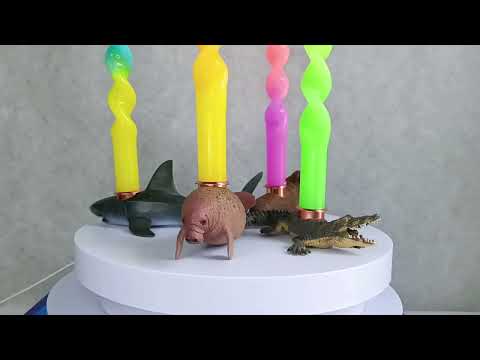 wow, marine animal candle holder coming, so cute