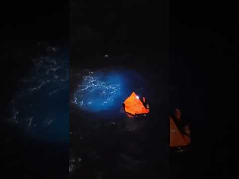 Carnival Vista crew rescues six after cargo ship capsizes