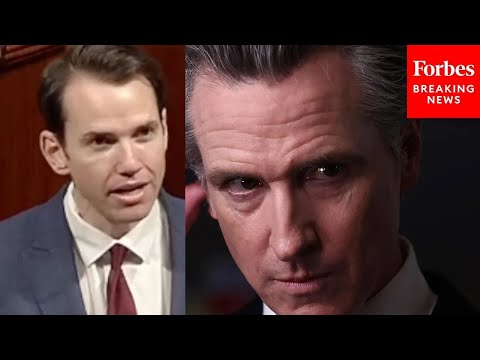 BREAKING NEWS: Kevin Kiley Accuses Gavin Newsom Of Lying About Forest Management As Wildfires Rage