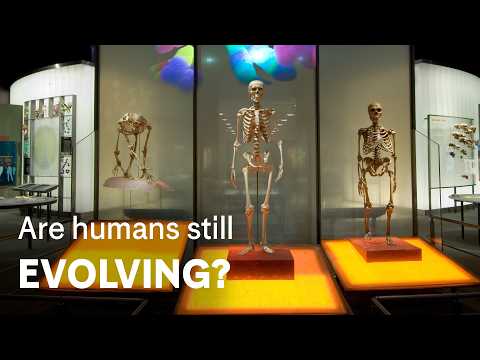 Human exceptionalism – why is it still around? – Mystery of Existence