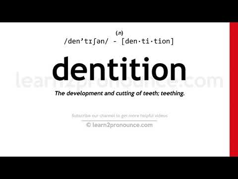 Pronunciation of Dentition | Definition of Dentition