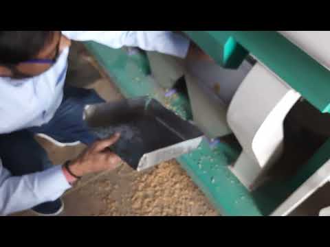 Sortex Machine - Rice Sortex Machine Latest Price, Manufacturers ...