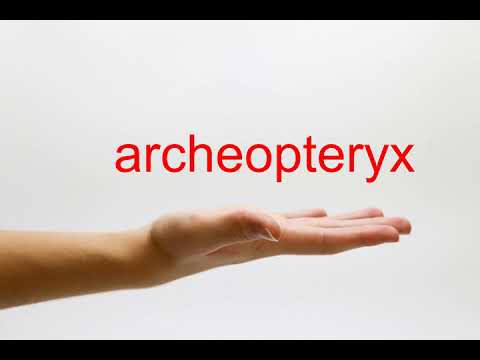 How to Pronounce archeopteryx - American English