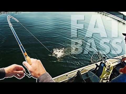 The Minimalist Fisherman – Catch More Fish. Collect Less Junk.